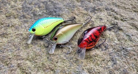 ラッキークラフト LC1.5。歴史とRTO1.5との違い、インプレ。 – LureNote