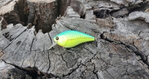 ラッキークラフト LC1.5。歴史とRTO1.5との違い、インプレ。 – LureNote