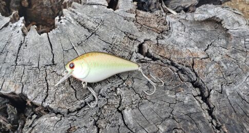 ラッキークラフト LC1.5。歴史とRTO1.5との違い、インプレ。 – LureNote