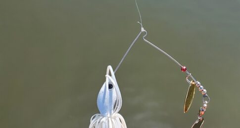 ノリーズ「クリスタルS」オリジナルモデルについてインプレ。 – LureNote