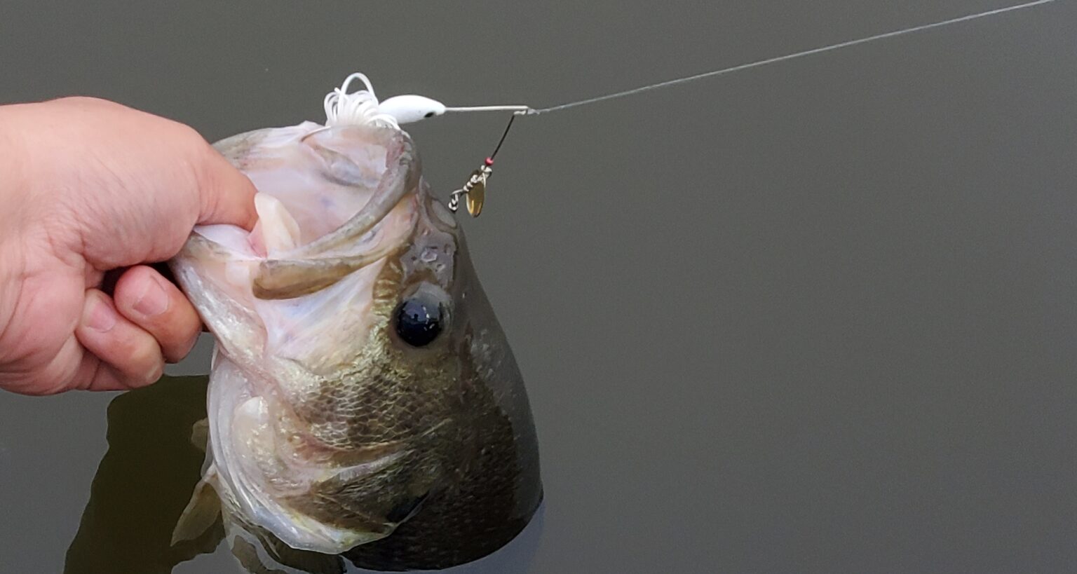 ノリーズ「クリスタルS」オリジナルモデルについてインプレ。 – LureNote