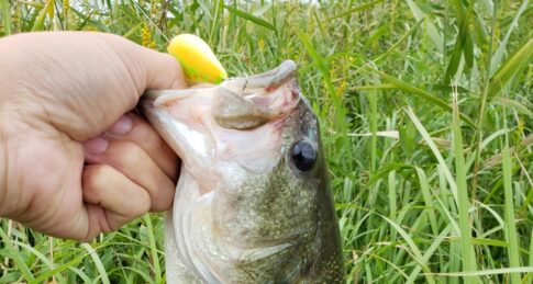 ボーマー モデルA(B06A)についてインプレ。 – LureNote