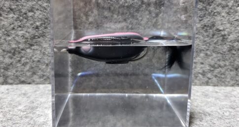 deps「スリザーク」使用インプレッション。 – LureNote