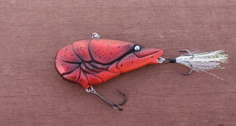 一誠「G.C.ザリバイブ」使用インプレッション。眺めても使っても楽しい個性派バイブレーションプラグ。 – LureNote