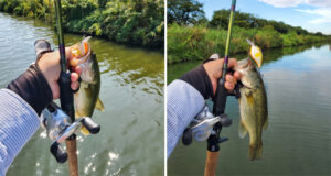 ノリーズ「マルノミフラット60」使用インプレッション。 – LureNote