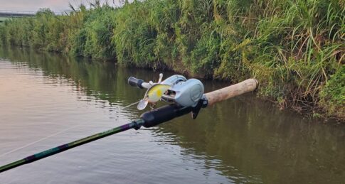 ノリーズ「マルノミフラット60」使用インプレッション。 – LureNote